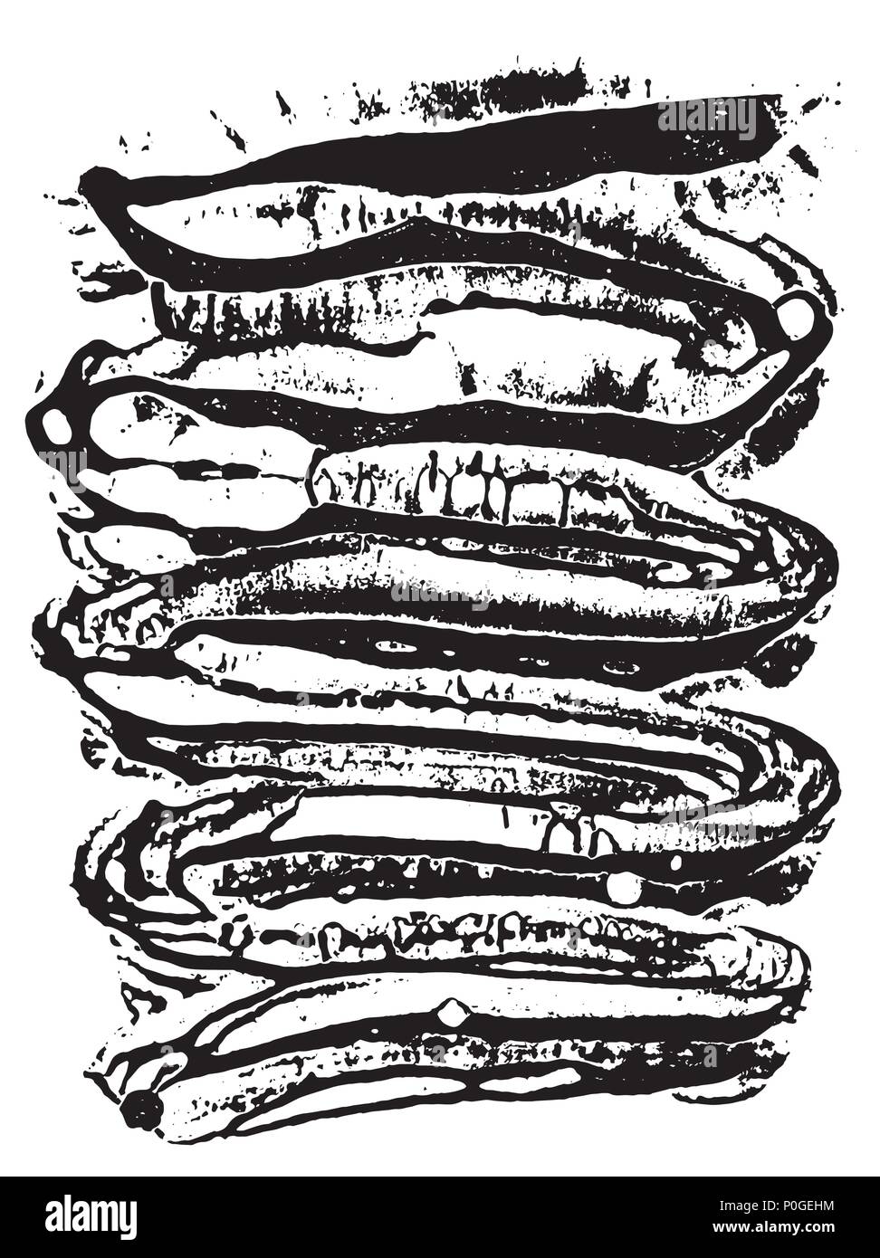 Ink vector sponge background. Vector illustration. Grunge hand drawn ...