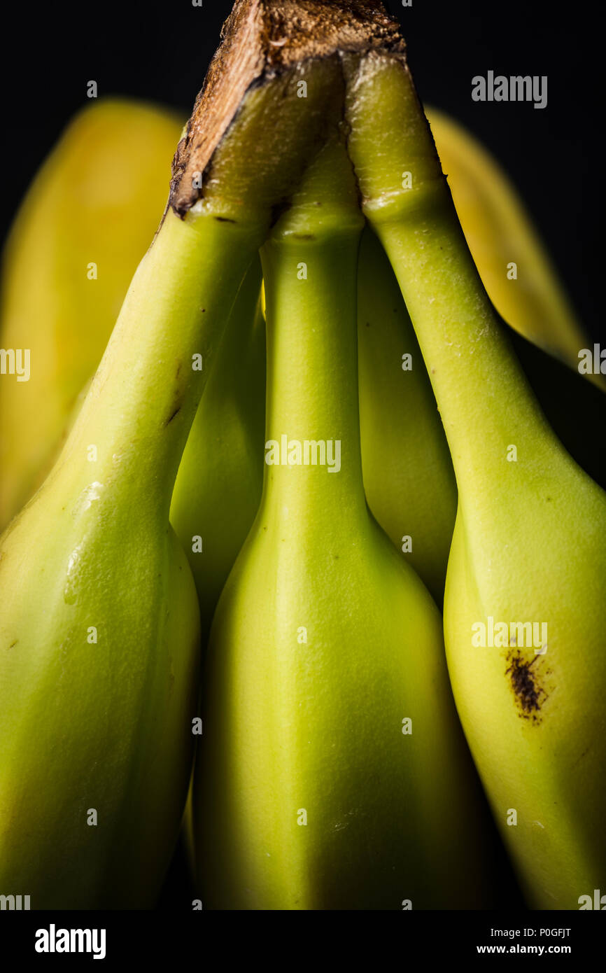 Three isolated stems for a bunch of bananas on a dark background Stock ...