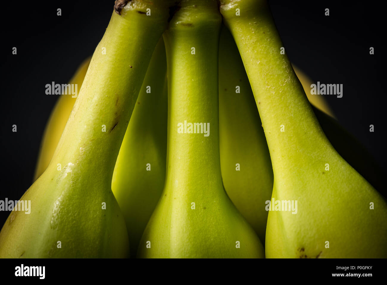 Three isolated stems for a bunch of bananas on a dark background Stock ...