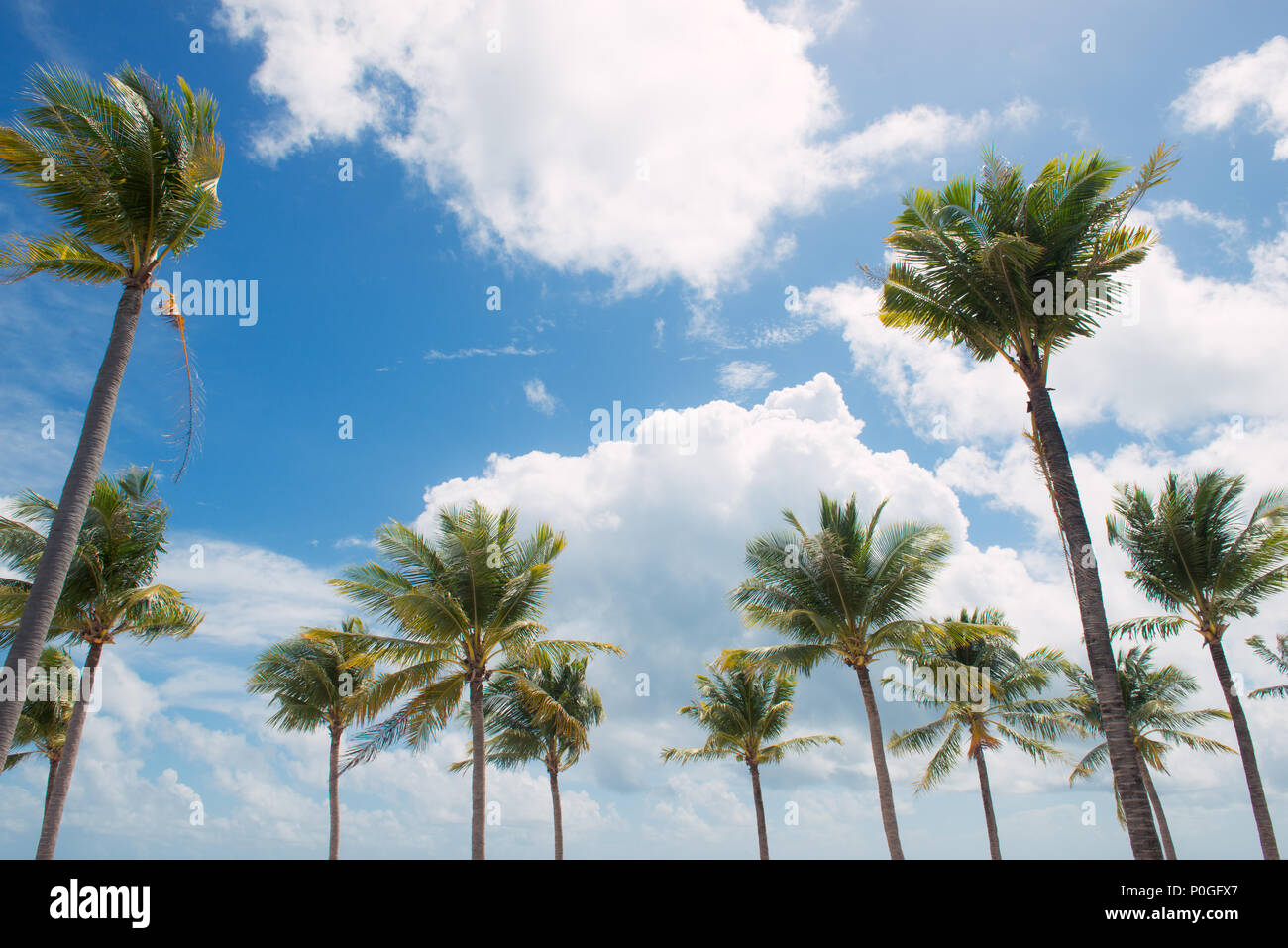 Inspirational beach scene hi-res stock photography and images - Alamy