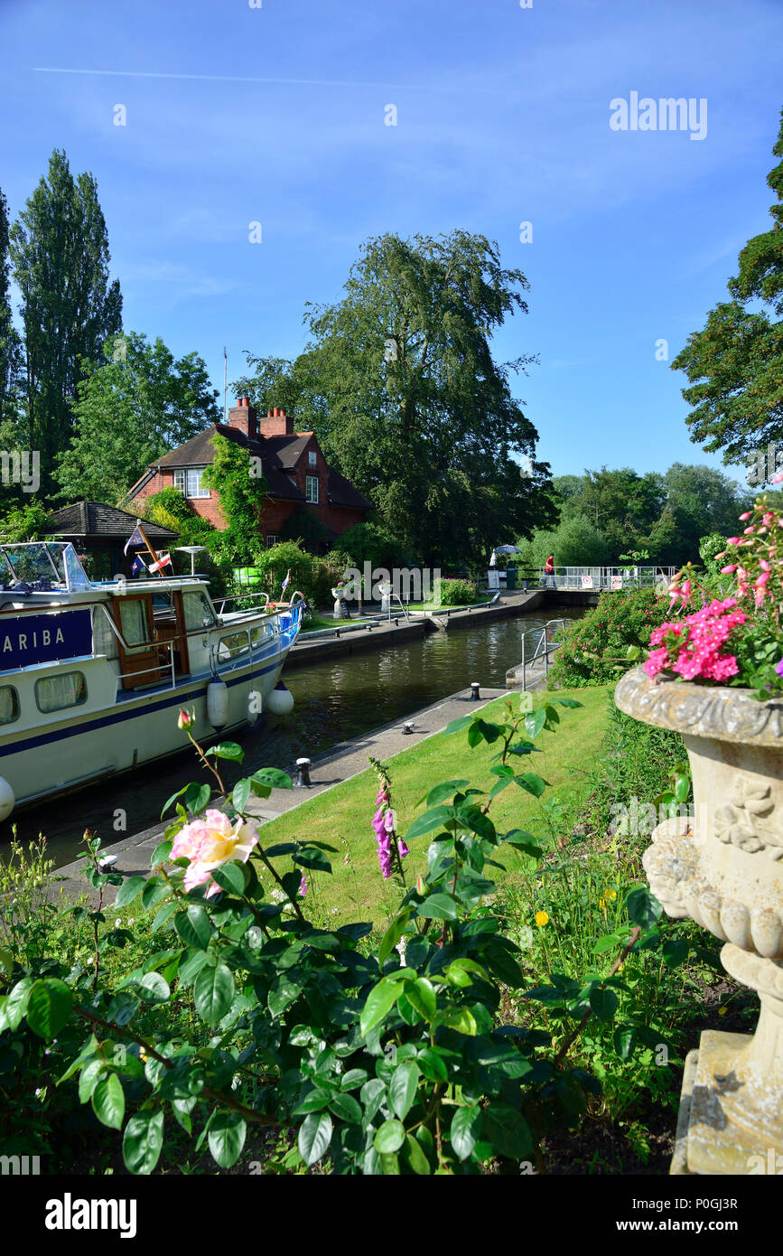 Summer plants flowering at the Sonning Lock with motorboat going ...