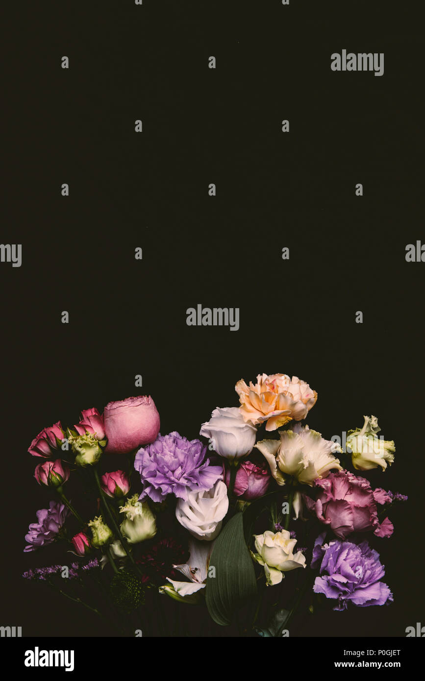 beautiful tender fresh blooming flowers isolated on black Stock Photo ...