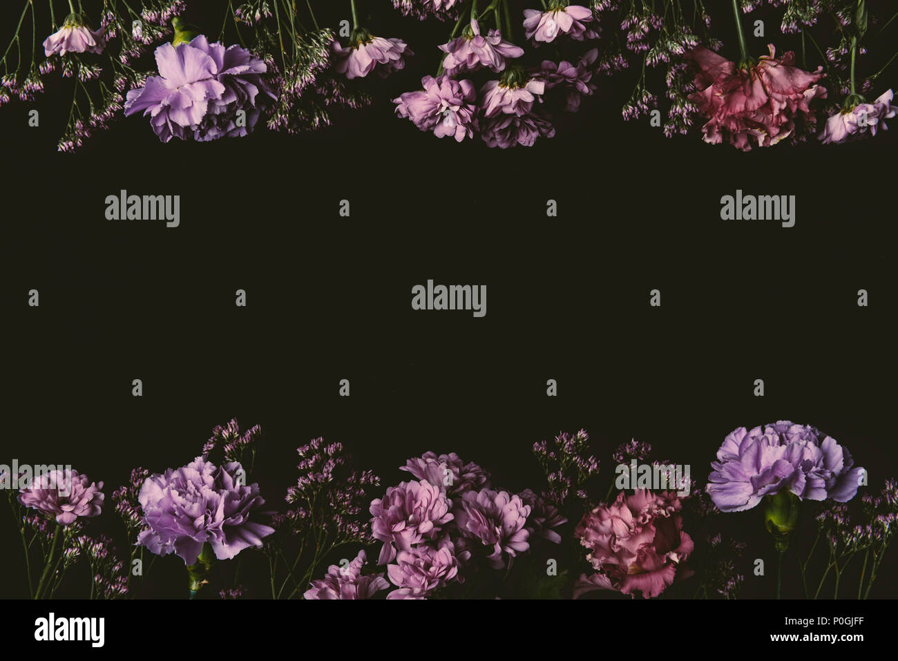 beautiful floral frame made of fresh pink and purple flowers isolated ...