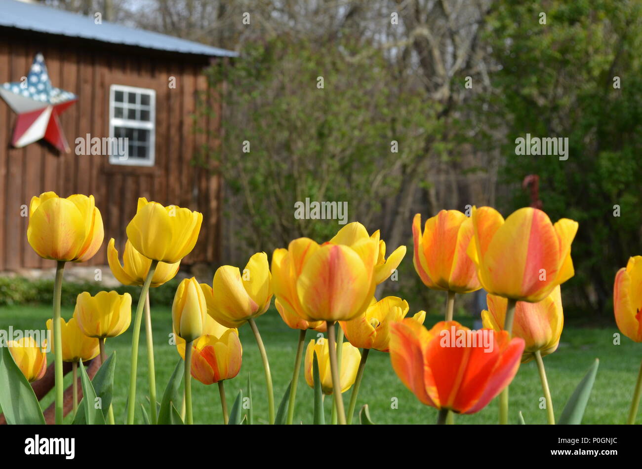 Amrphotos hi-res stock photography and images - Alamy