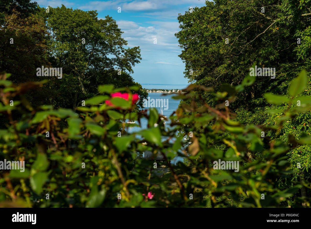 Northport state park hi-res stock photography and images - Alamy