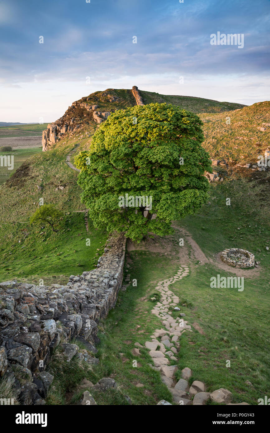 Stunning landscape image of Sycamore Gap at Hadrian's Wall in ...