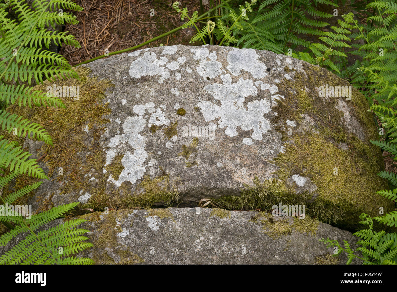 Bole hill quarry hi-res stock photography and images - Alamy