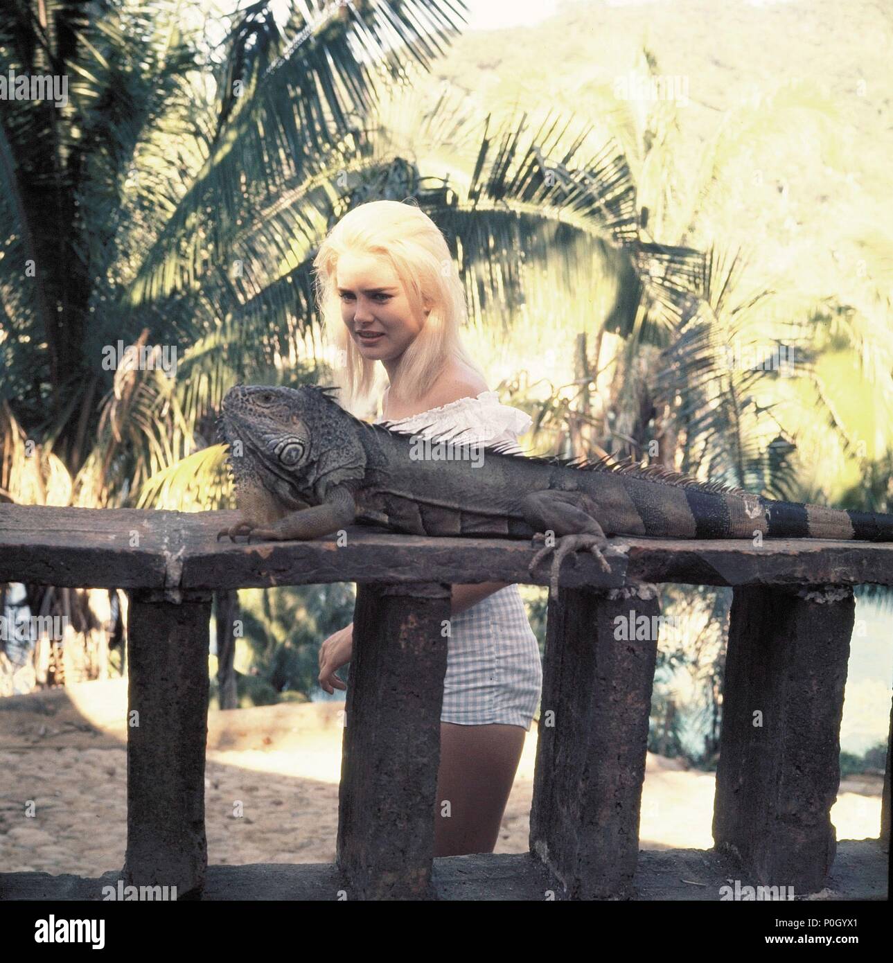 Original Film Title: THE NIGHT OF THE IGUANA. English Title: THE NIGHT ...