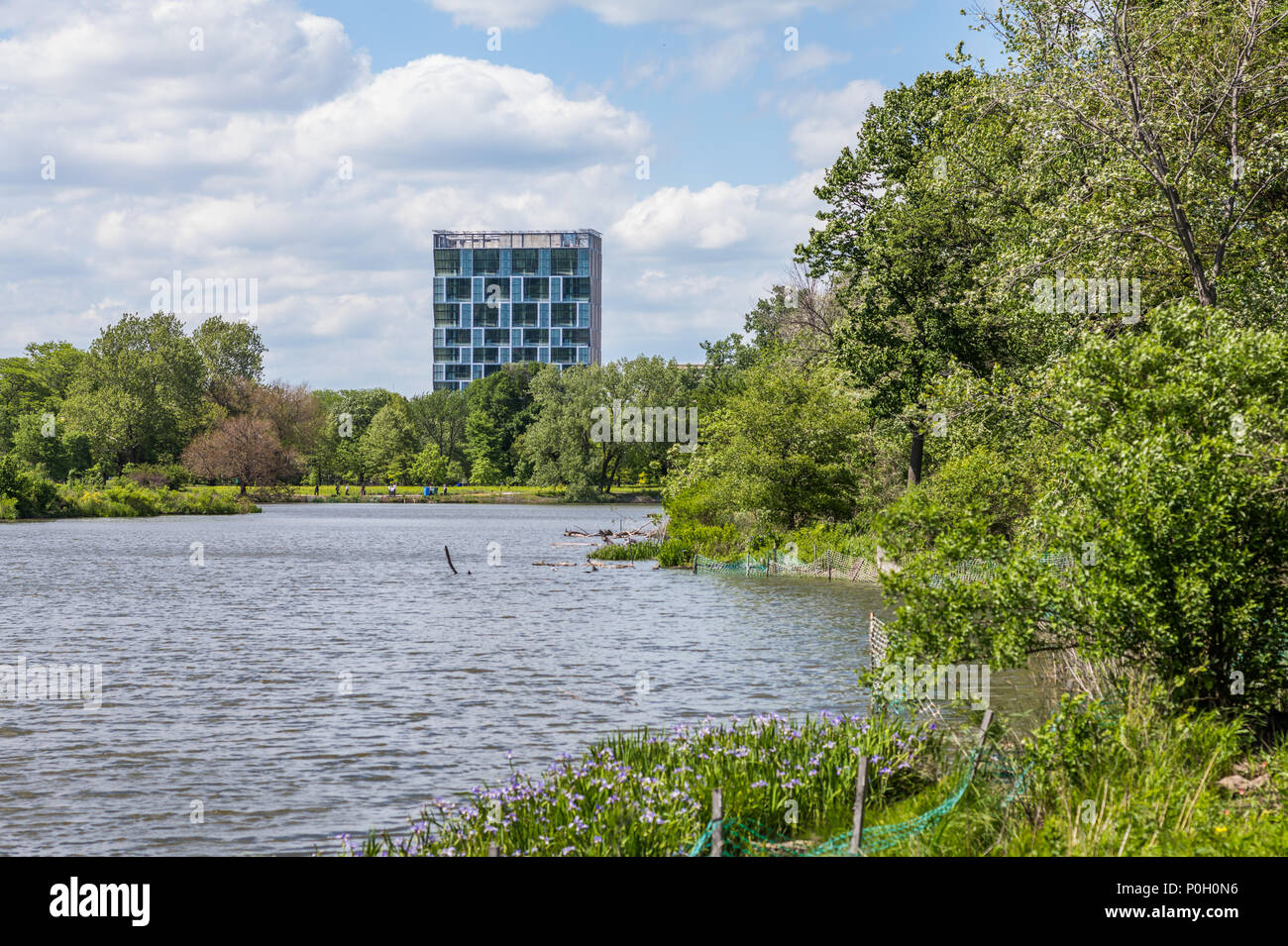 Jackson Park Lagoon with apartment building Stock Photo - Alamy