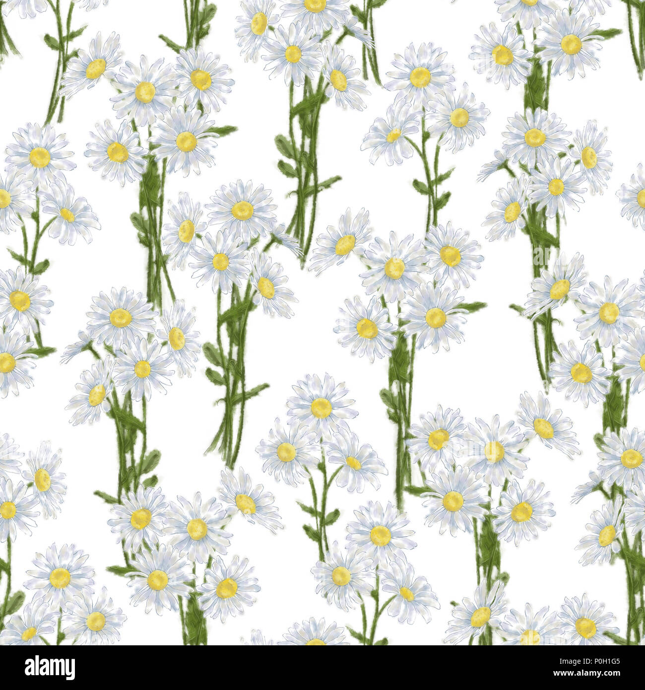 Daisy Bunch Seamless Pattern Isolated on White background. Romantic ...