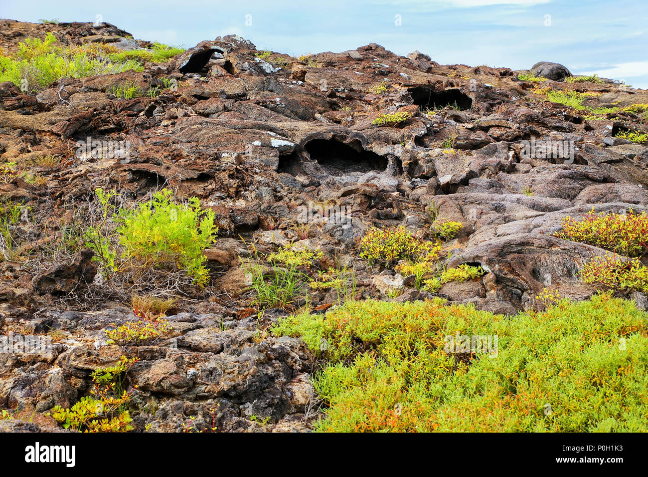 Lava tubes on Chinese Hat island in Galapagos National Park, Ecuador ...