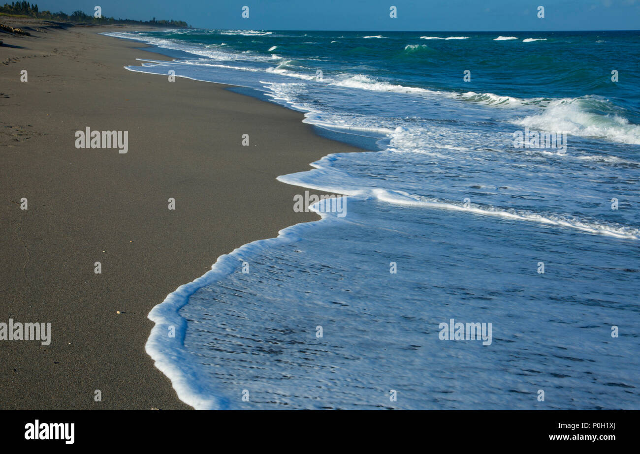 Beach surf, Blowing Rocks Preserve, Florida Stock Photo - Alamy
