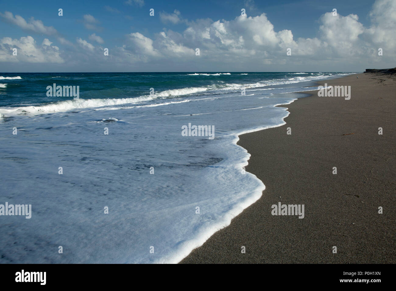 Beach surf, Blowing Rocks Preserve, Florida Stock Photo - Alamy