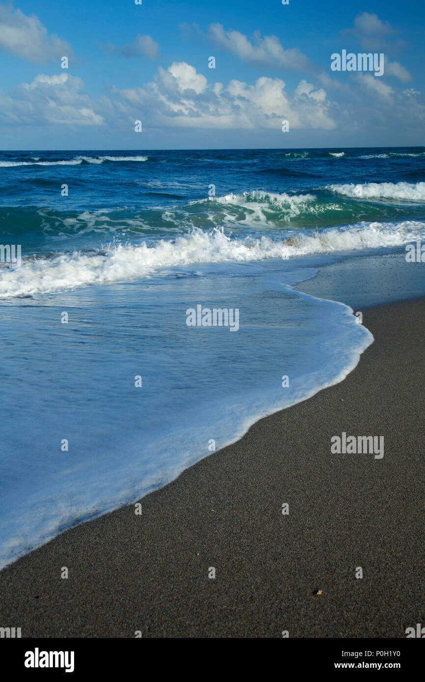 Beach surf, Blowing Rocks Preserve, Florida Stock Photo - Alamy