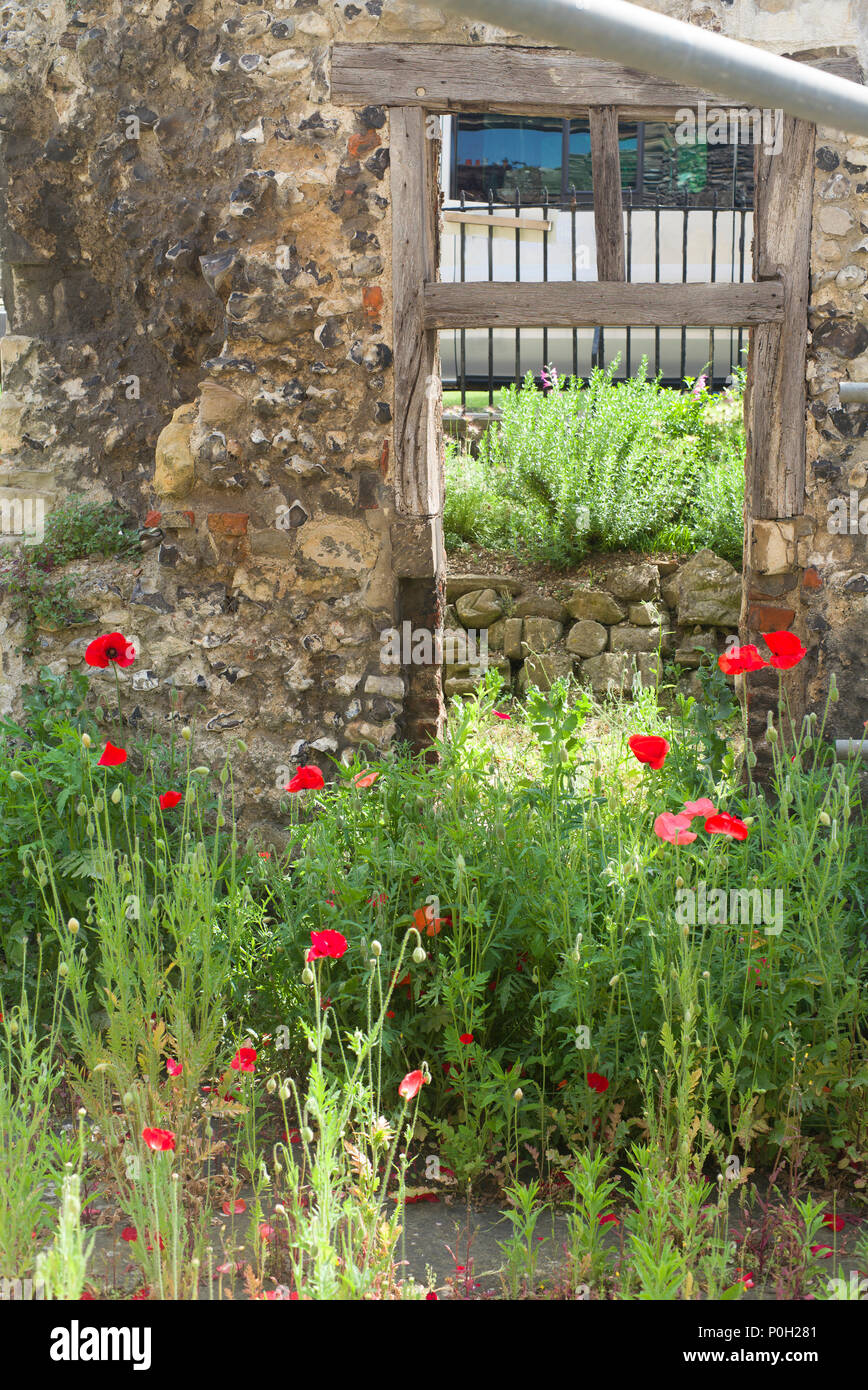 Falling poppies hi-res stock photography and images - Alamy