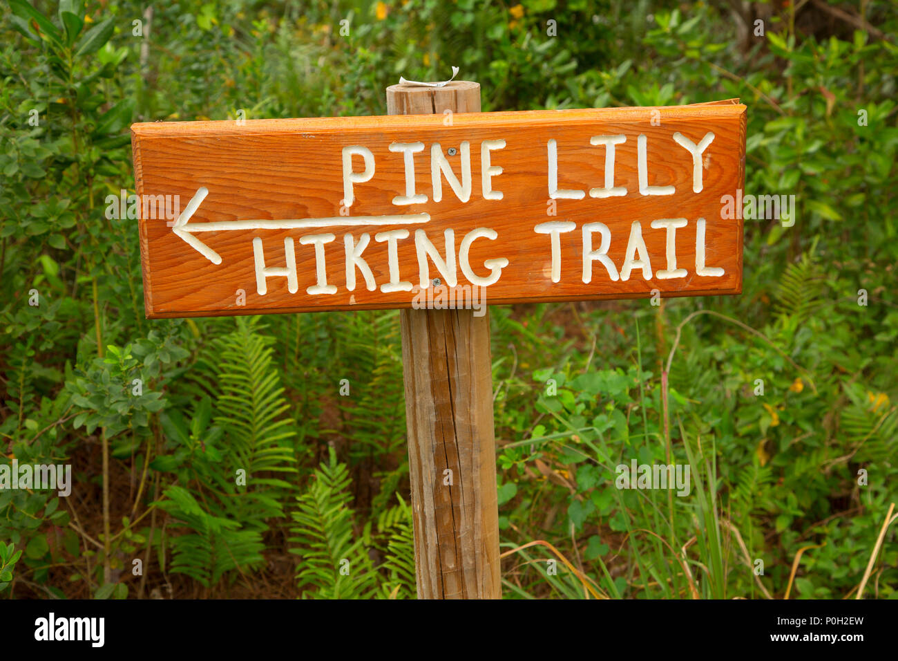 Florida trail sign hi-res stock photography and images - Alamy