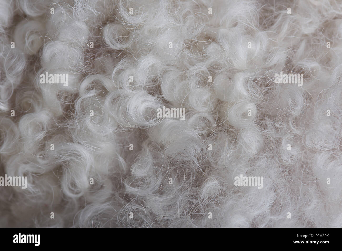 White fibres hi-res stock photography and images - Alamy