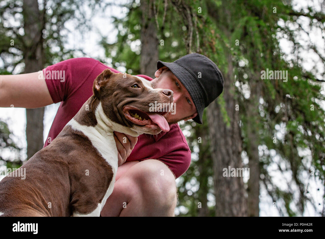 Man_and_dog hi-res stock photography and images - Alamy