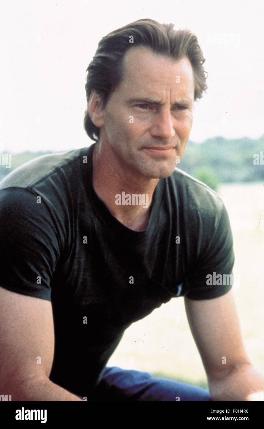 Stars: SAM SHEPARD Stock Photo - Alamy