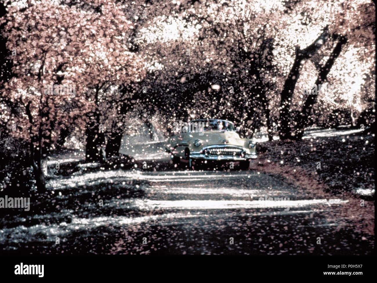 Pleasantville 1998 hi-res stock photography and images - Alamy