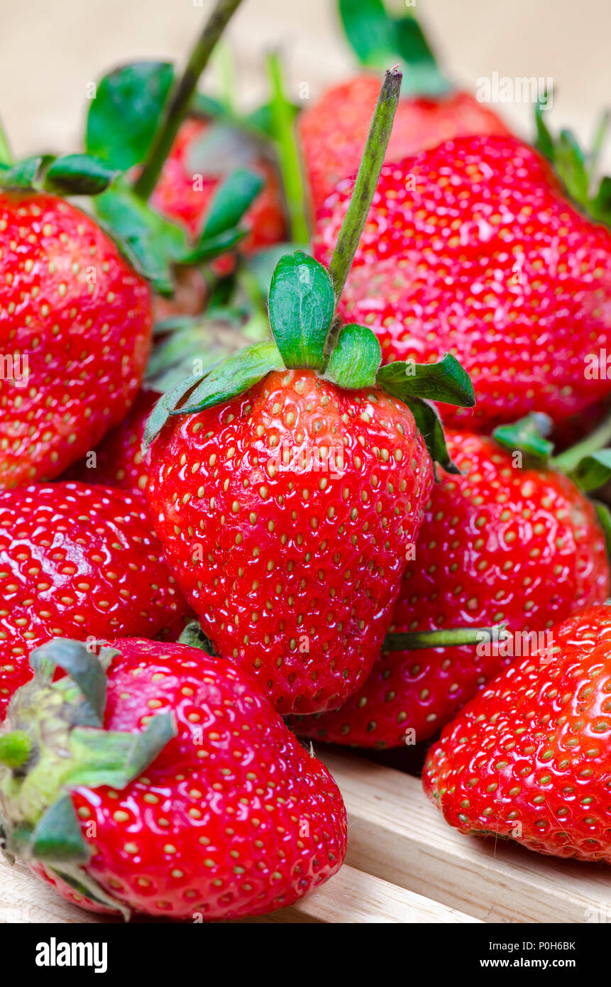 Red berry strawberry Stock Photo - Alamy