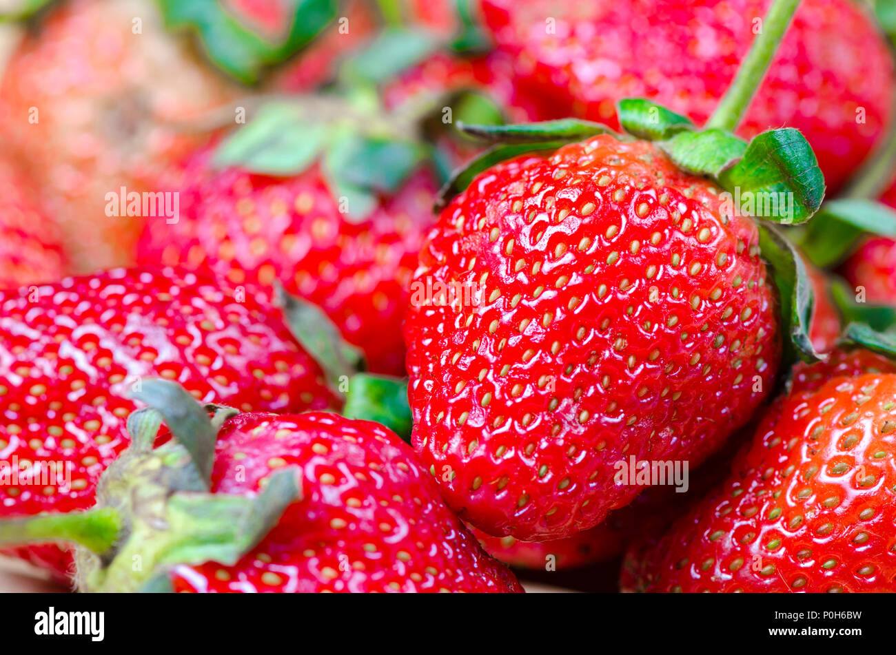 Red berry strawberry Stock Photo - Alamy