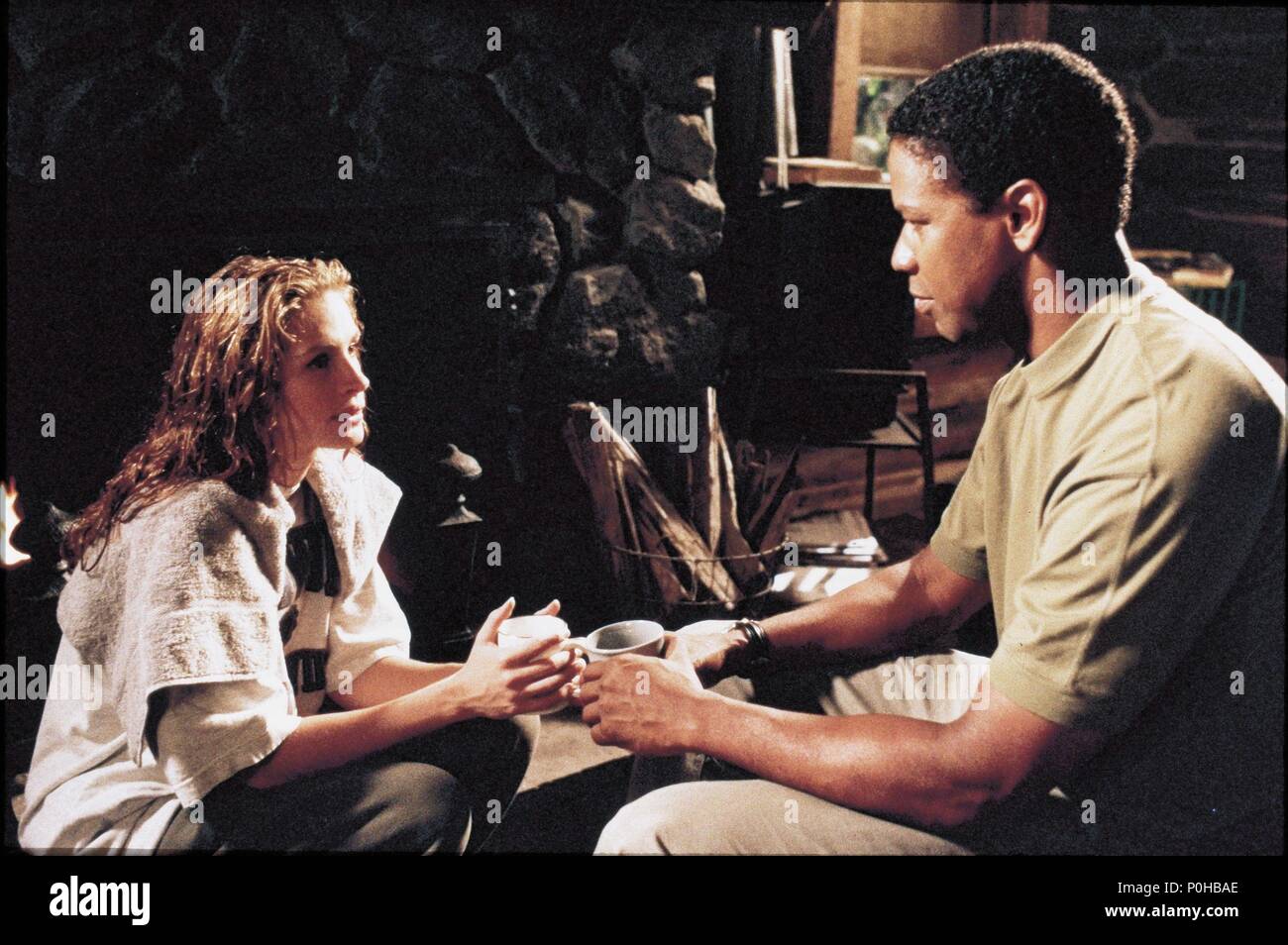 Original Film Title: THE PELICAN BRIEF. English Title: THE PELICAN ...