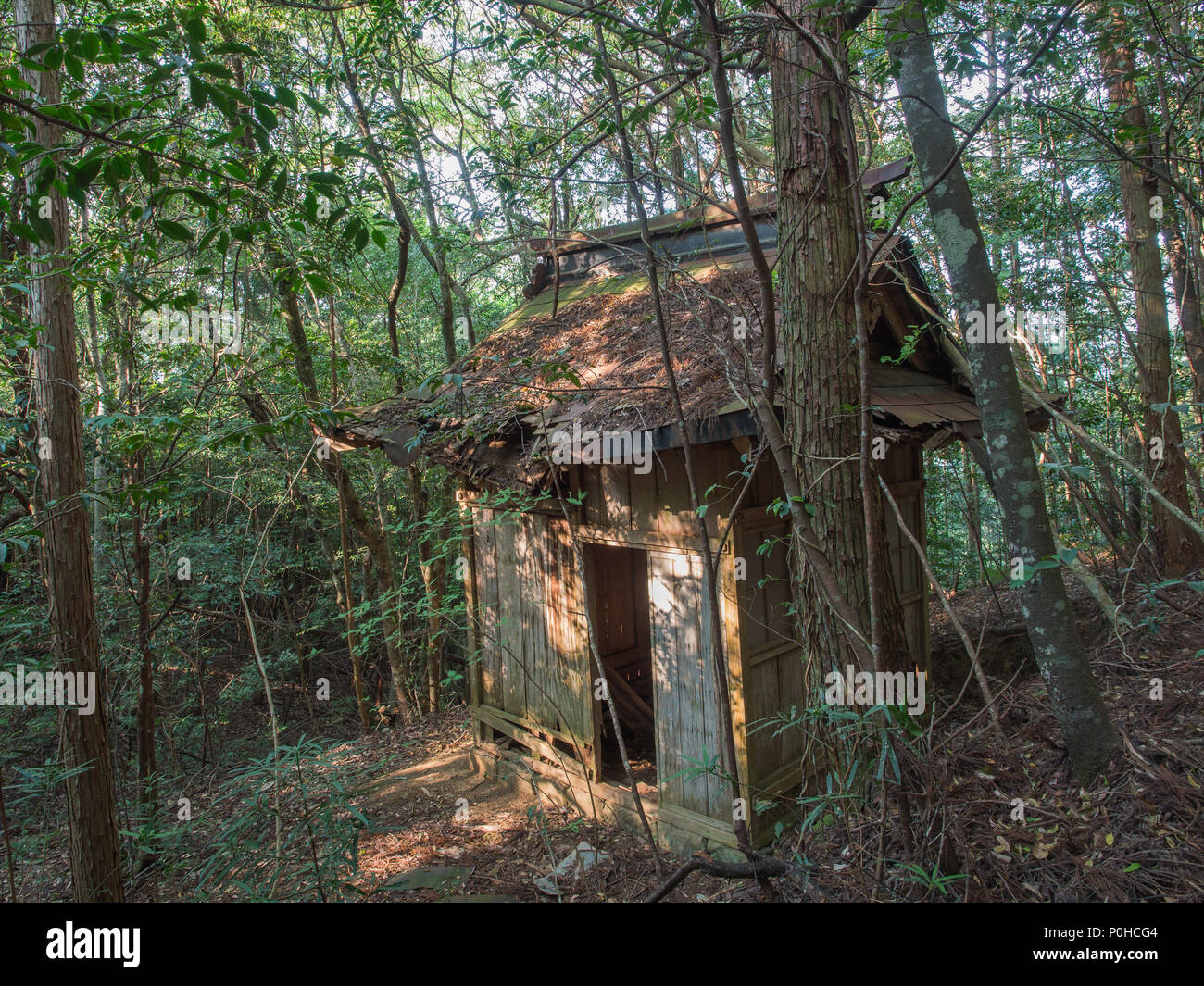 Abandoned derelict shtine hi-res stock photography and images - Alamy