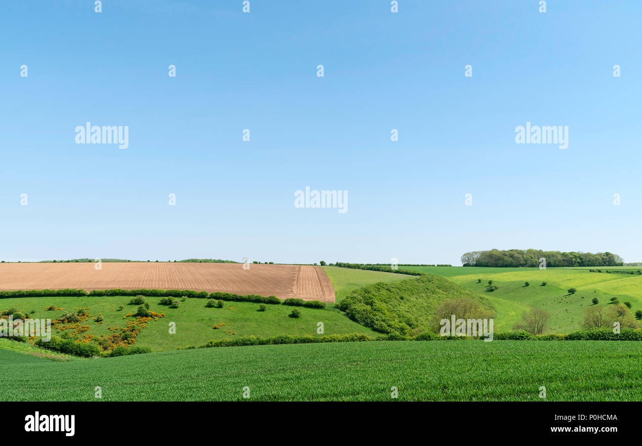 Yorkshire wolds spring hi-res stock photography and images - Alamy