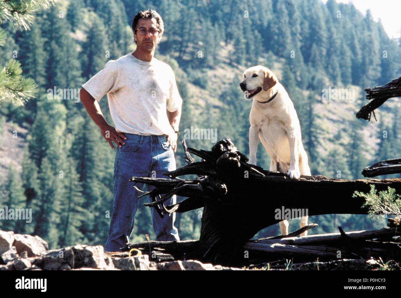 John C Reilly The River Wild