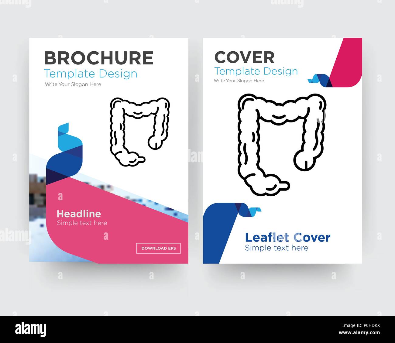 Large Intestine brochure flyer design template with abstract photo ...