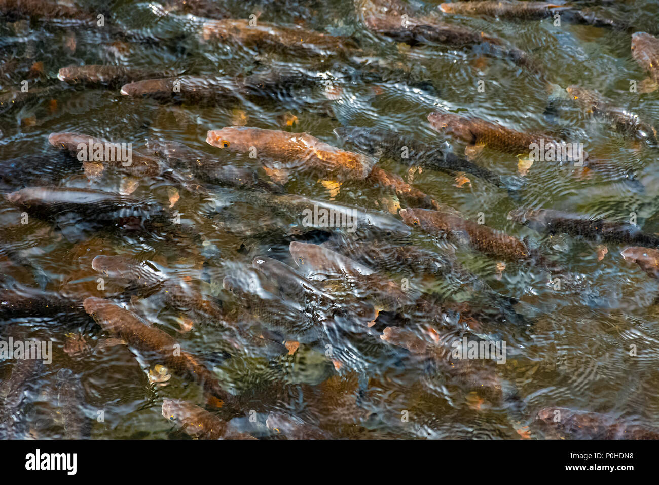 Clean environment hi-res stock photography and images - Alamy