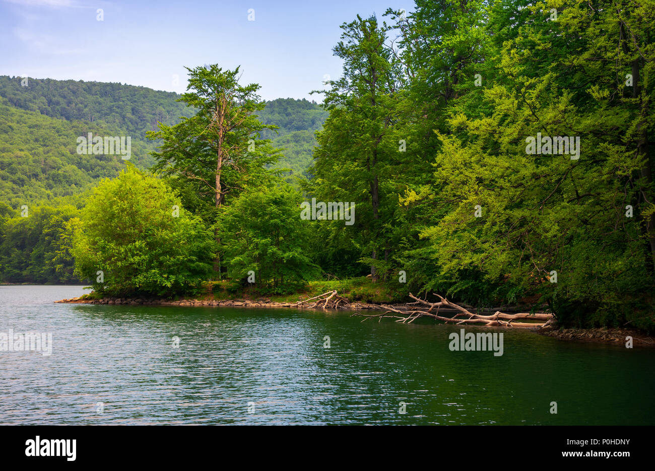 Beech hill pond hi-res stock photography and images - Alamy