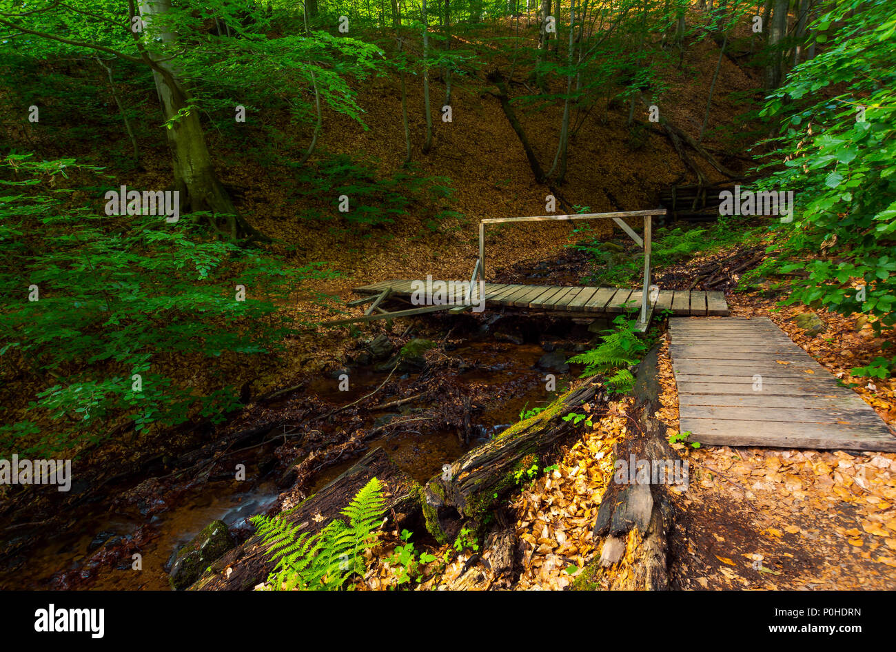 Bridge stream forest hi-res stock photography and images - Alamy