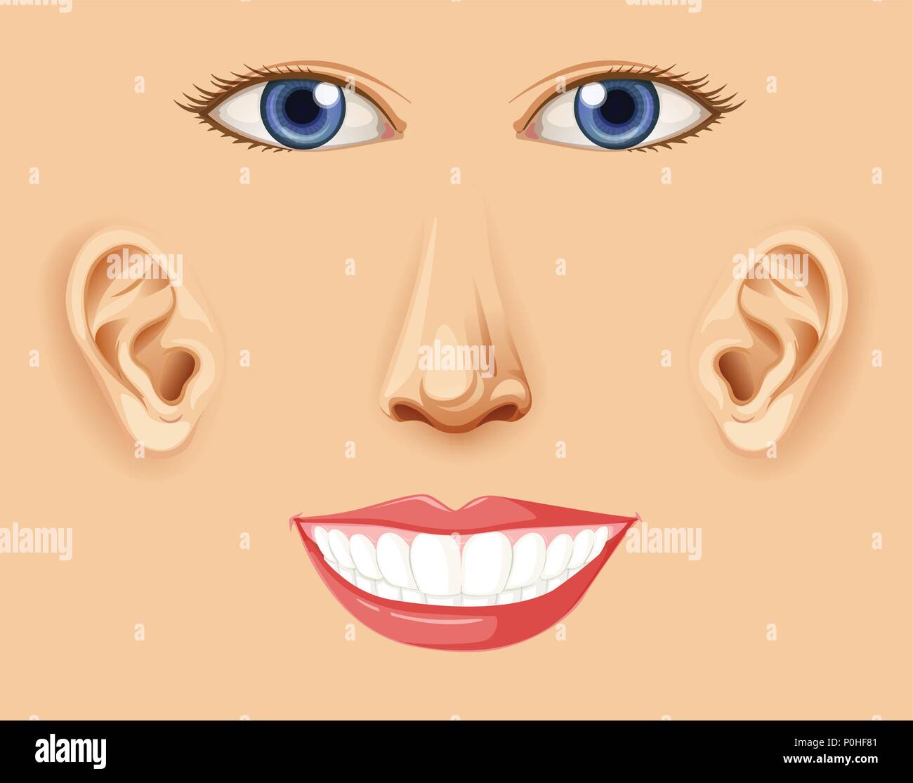Happy facial expression woman Stock Vector Images - Alamy