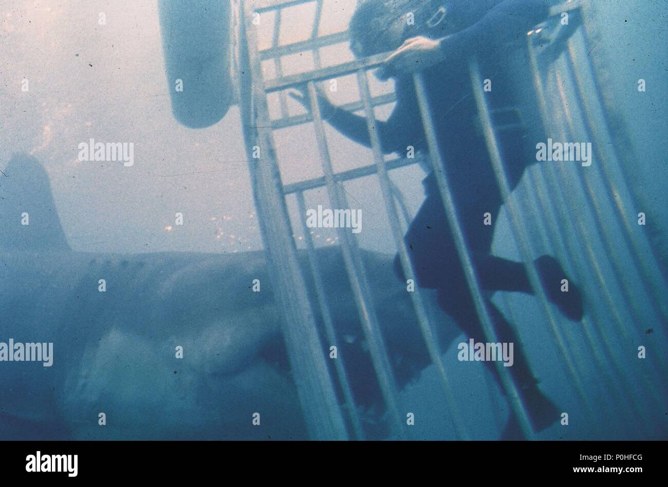 Original Film Title: ANN. English Title: ANN. Film Director: STEVEN ...