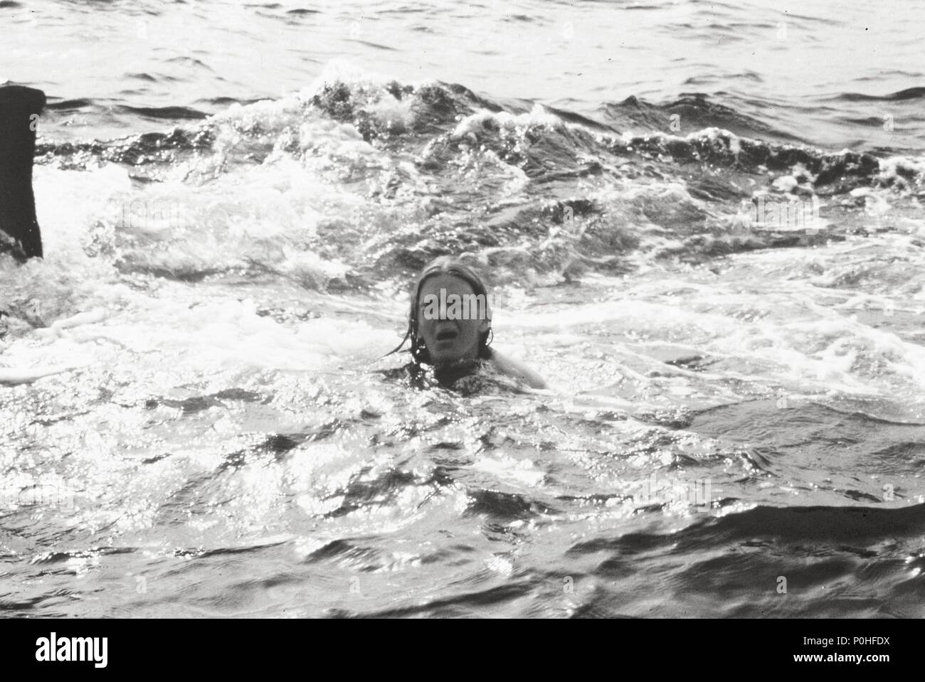 Original Film Title: JAWS II. English Title: JAWS II. Film Director ...