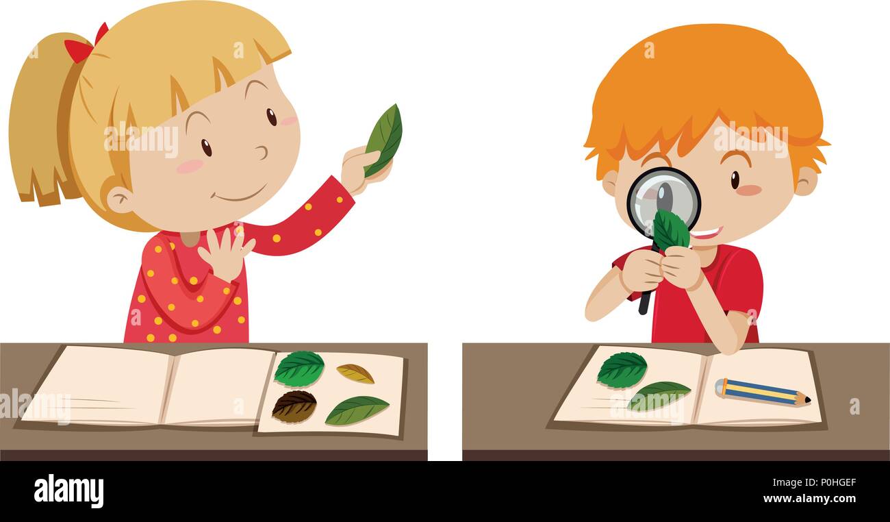 Students Reserch in Biology Class illustration Stock Vector Image & Art ...
