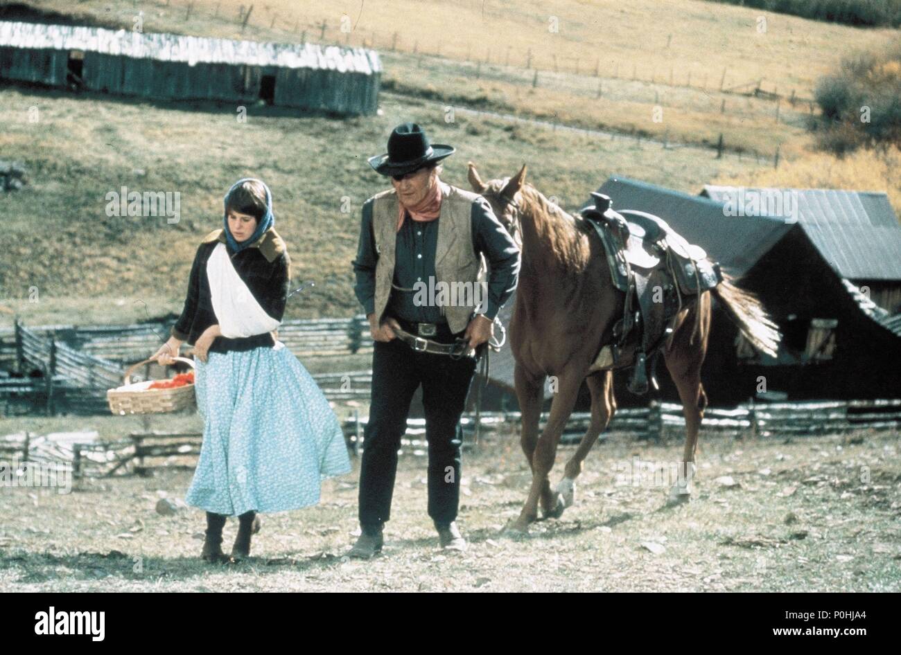 True grit 1969 hi-res stock photography and images - Alamy