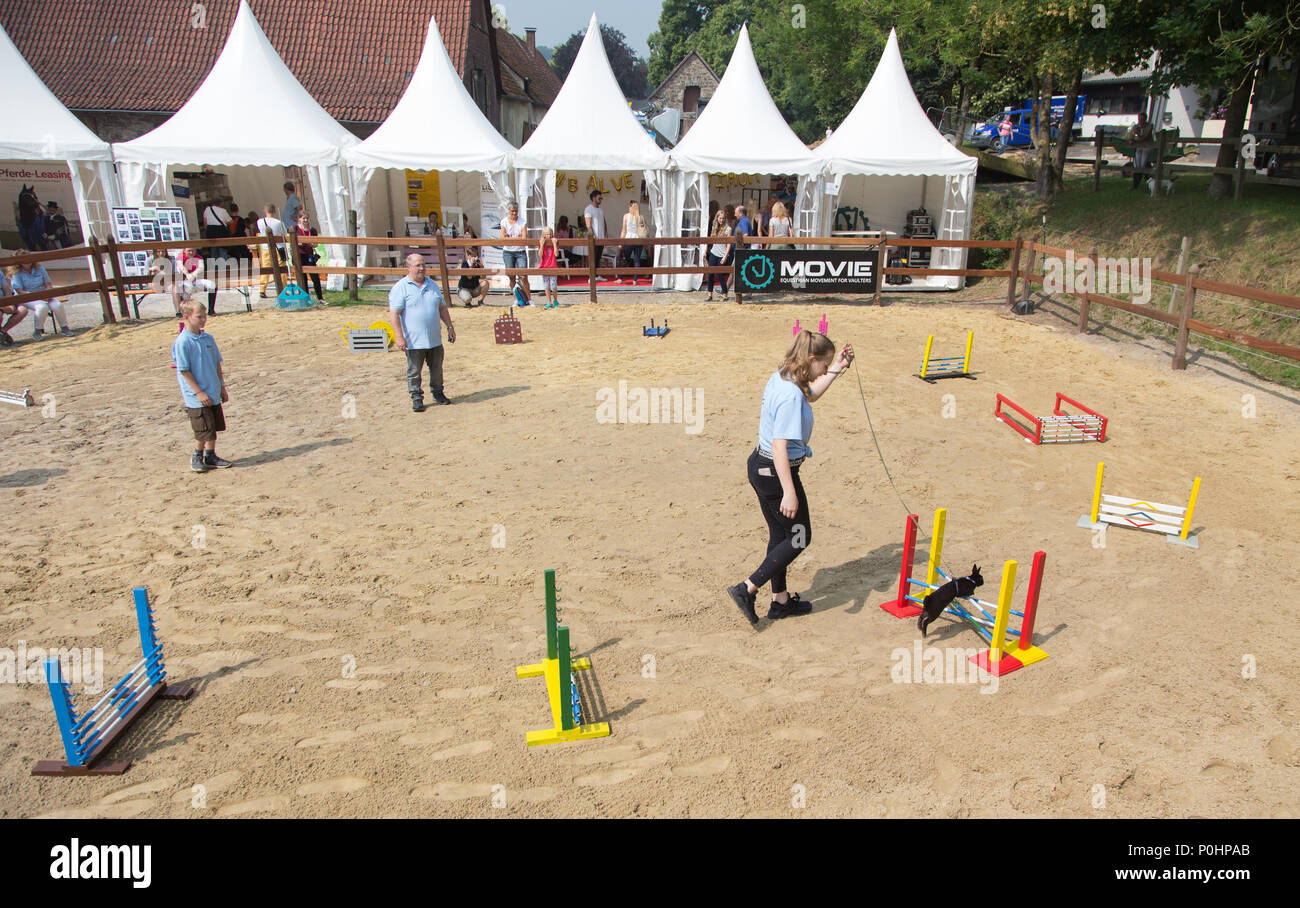 Equestrian obstacle course hi-res stock photography and images - Alamy