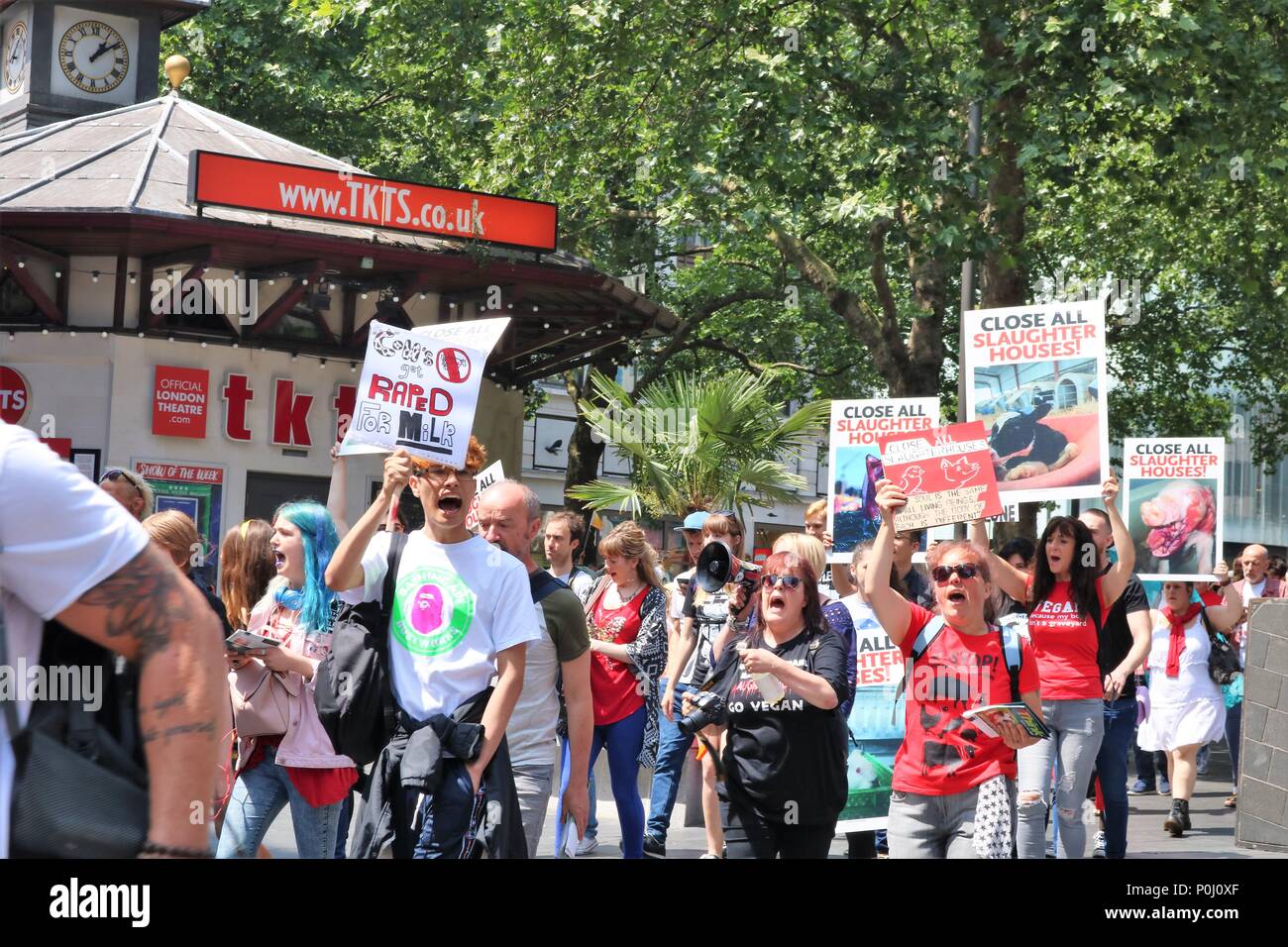 Slaughter house protest hi-res stock photography and images - Alamy
