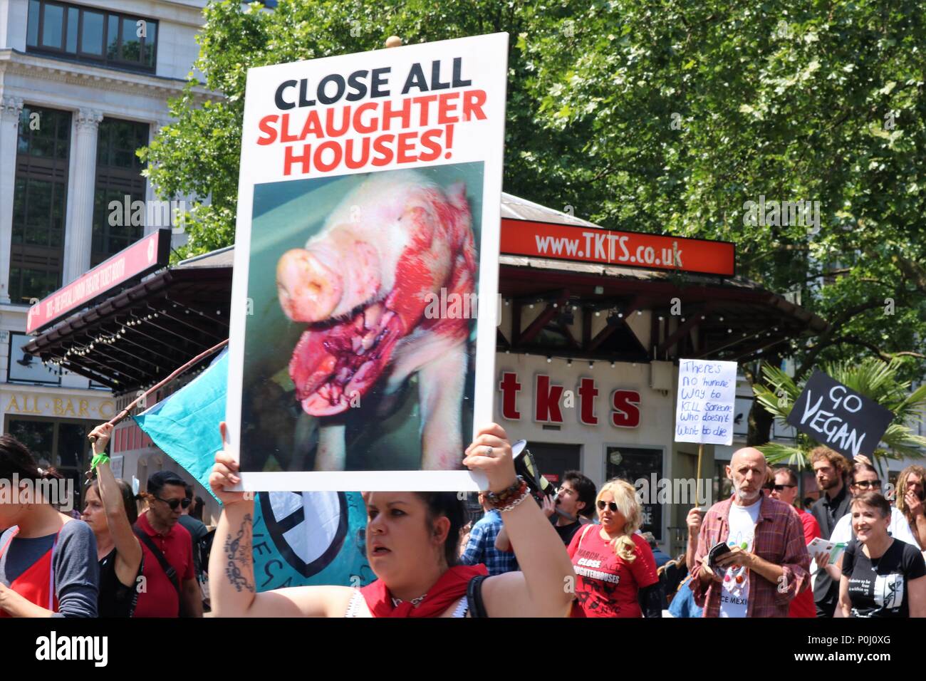 Animal slaughter house uk hi-res stock photography and images - Alamy