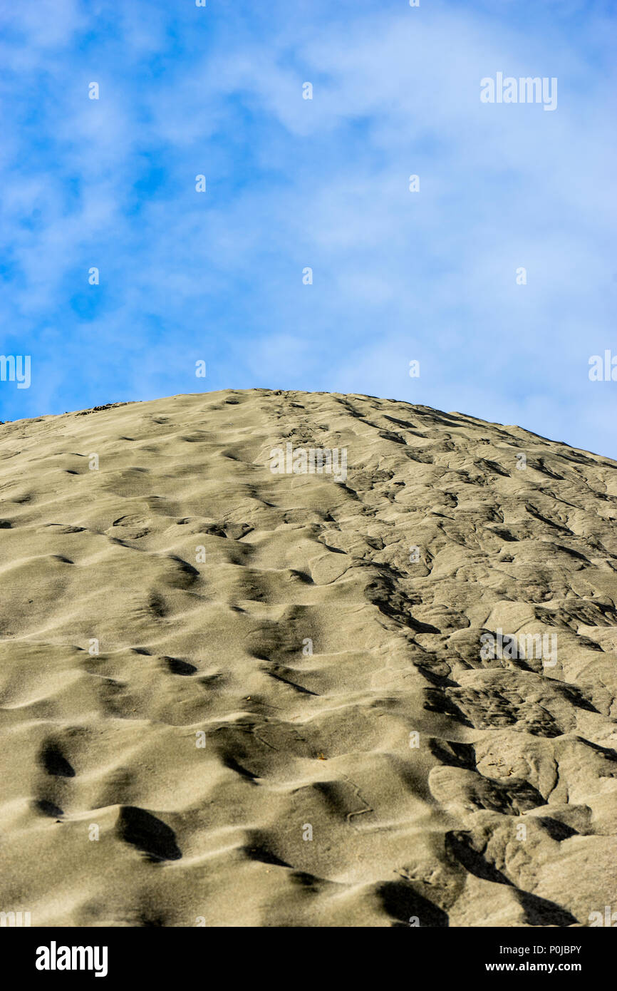 Looking up at a tall sand dune on the Sonoma coast, California Stock ...
