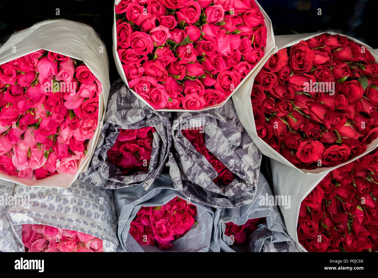 Bunches of pink roses hi-res stock photography and images - Alamy