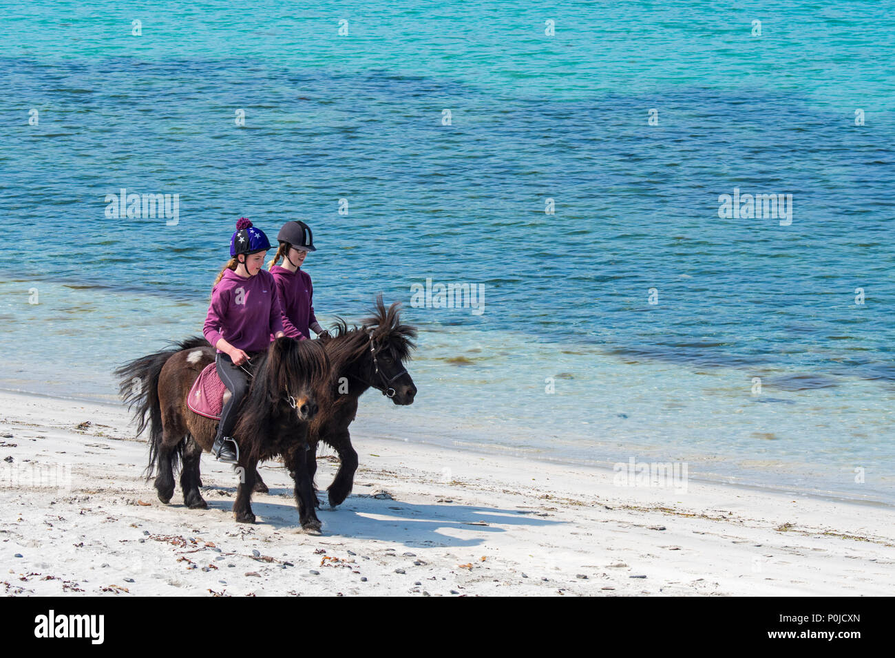 Child shetland pony horse hi-res stock photography and images - Alamy