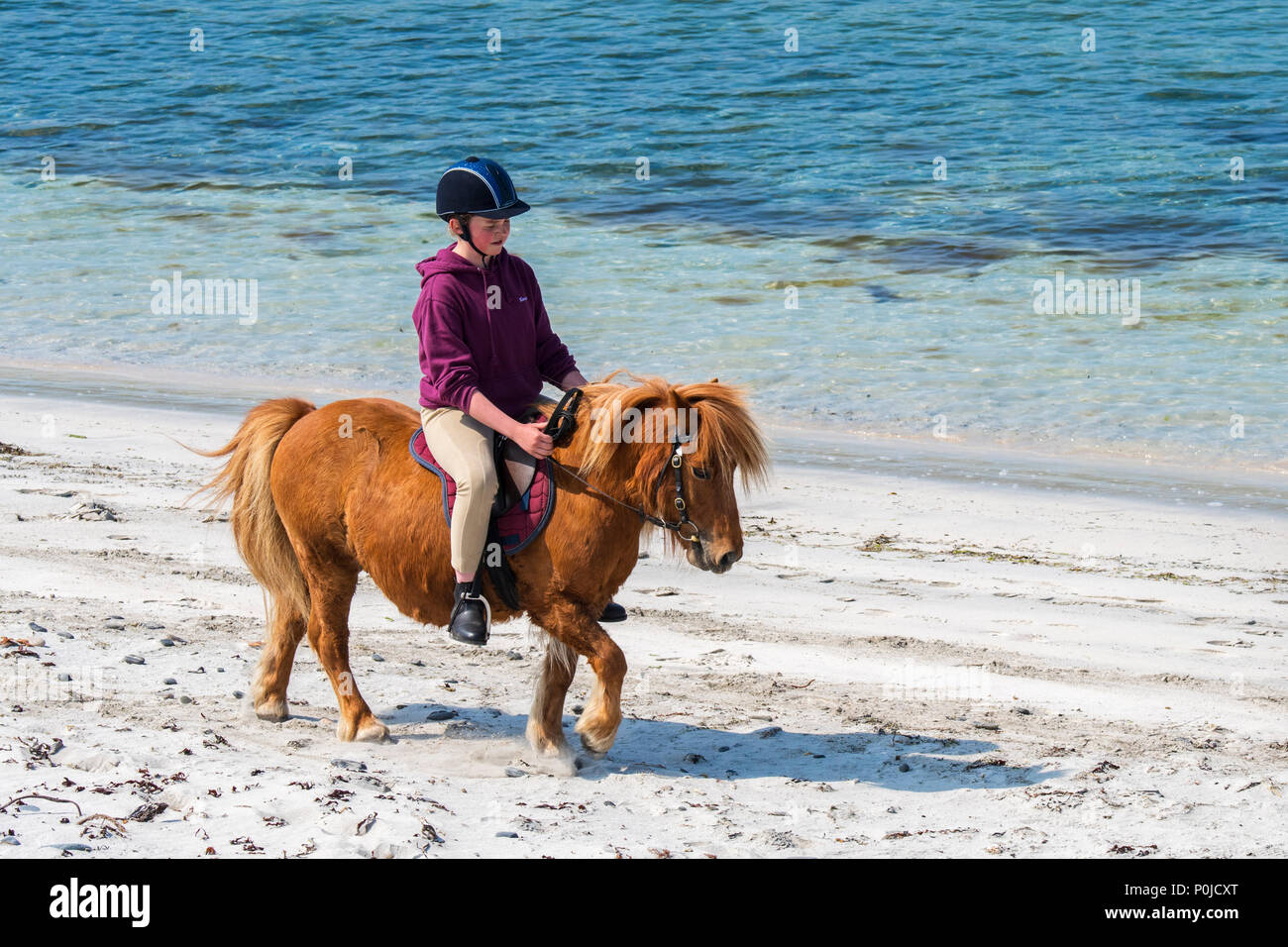 Girls Riding Shetland Pony High Resolution Stock Photography and Images ...