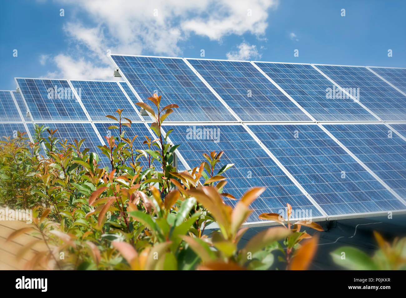 Solar energy panels with power line hi-res stock photography and images ...