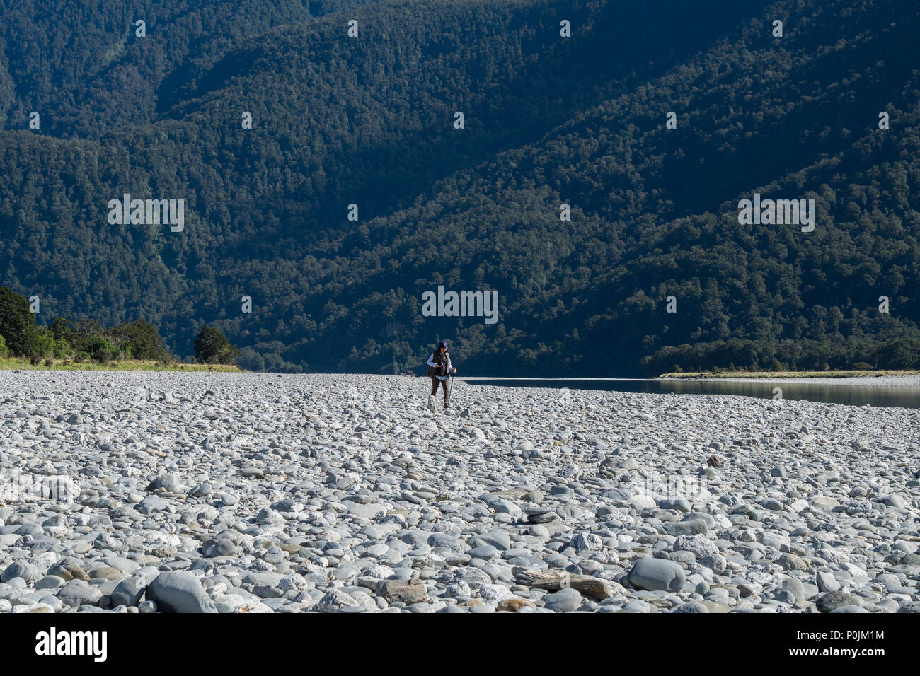 Track to Roaring Billy Falls,Located in Mt. Aspiring National Park ...