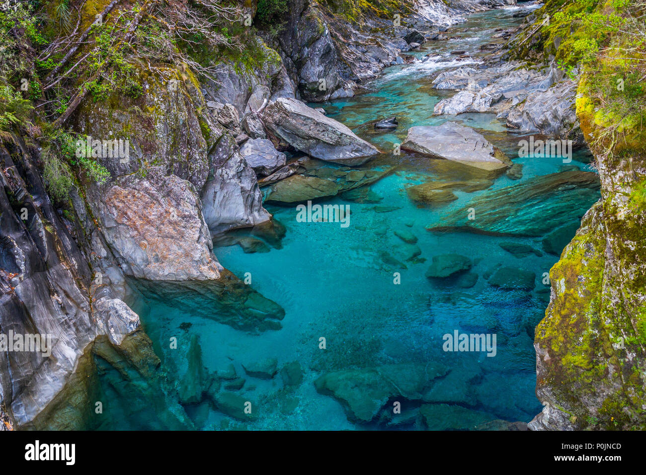 Blue Pools is the most famous attraction in Haast Pass. Located in ...