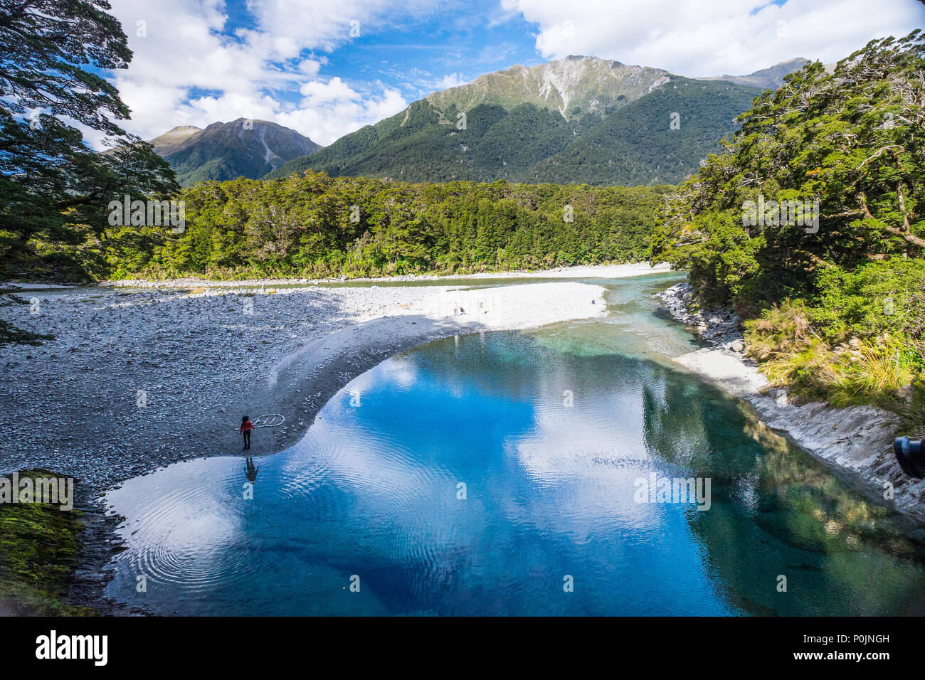 Blue Pools is the most famous attraction in Haast Pass. Located in ...